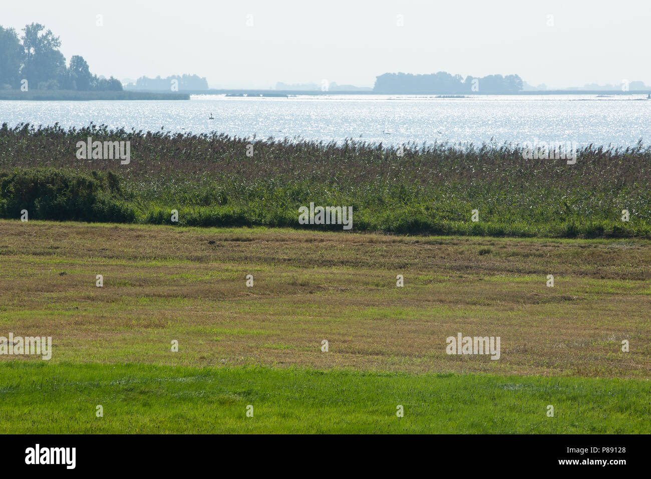 Natuurgebied Zwarte meer, Nature Reserve Zwarte meer Stock Photo - Alamy