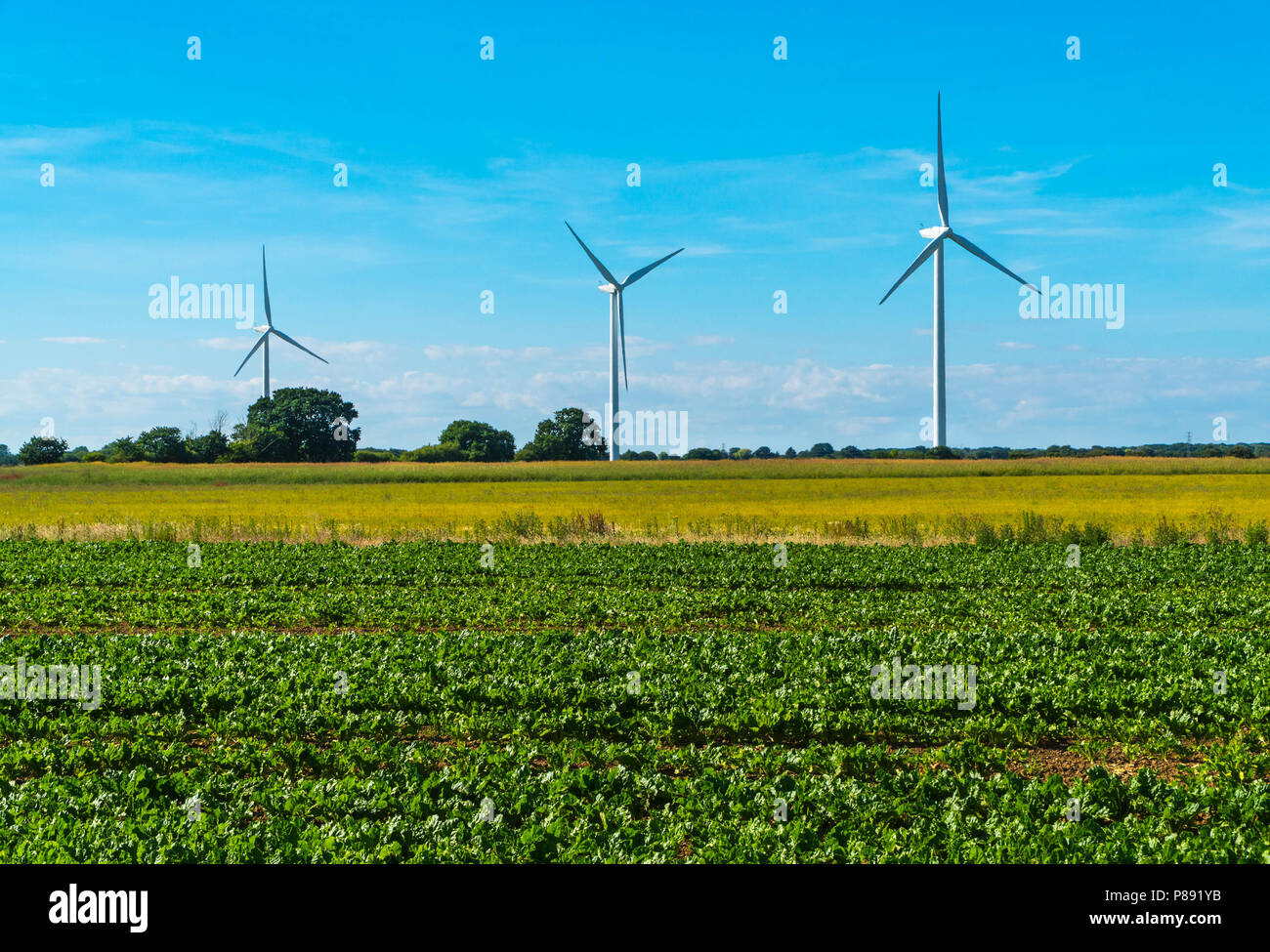 Wind farm clacton on sea hi-res stock photography and images - Alamy