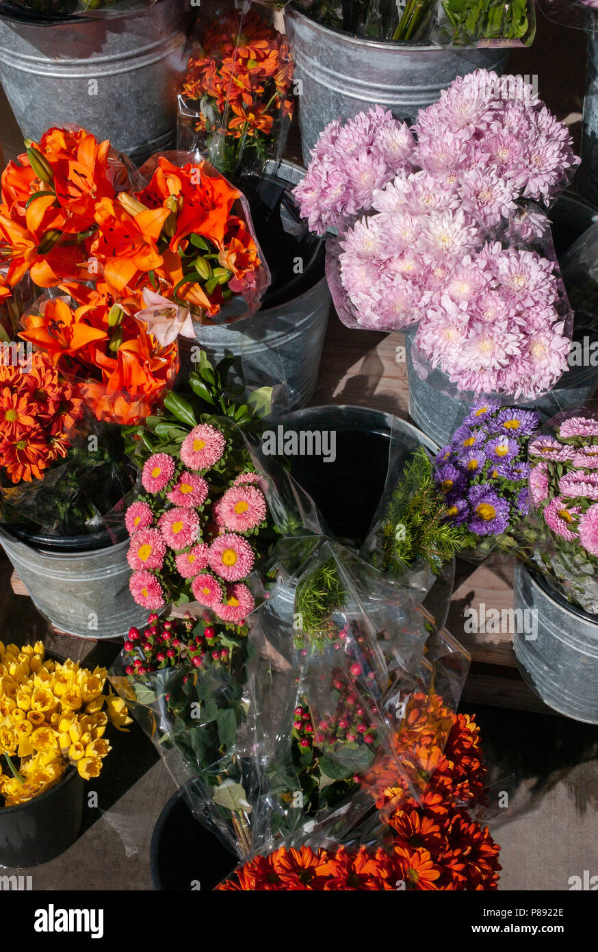 Ready to purchase hi-res stock photography and images - Alamy