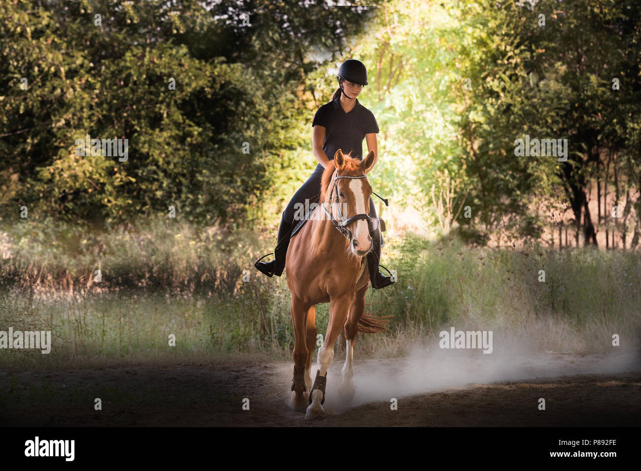 Young pretty girl - riding a horse with backlit leaves behind Stock ...