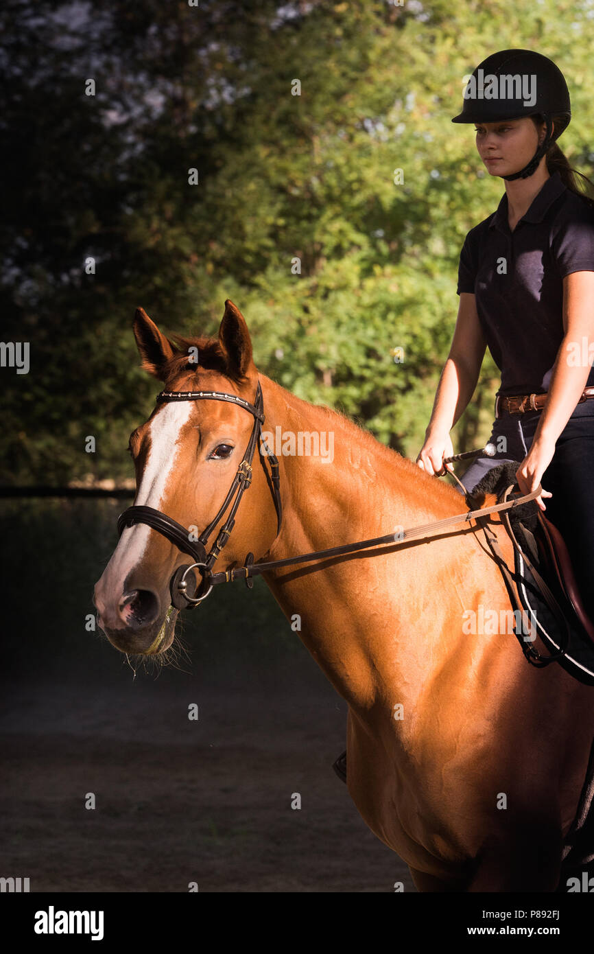 Young pretty girl - riding a horse with backlit leaves behind Stock ...