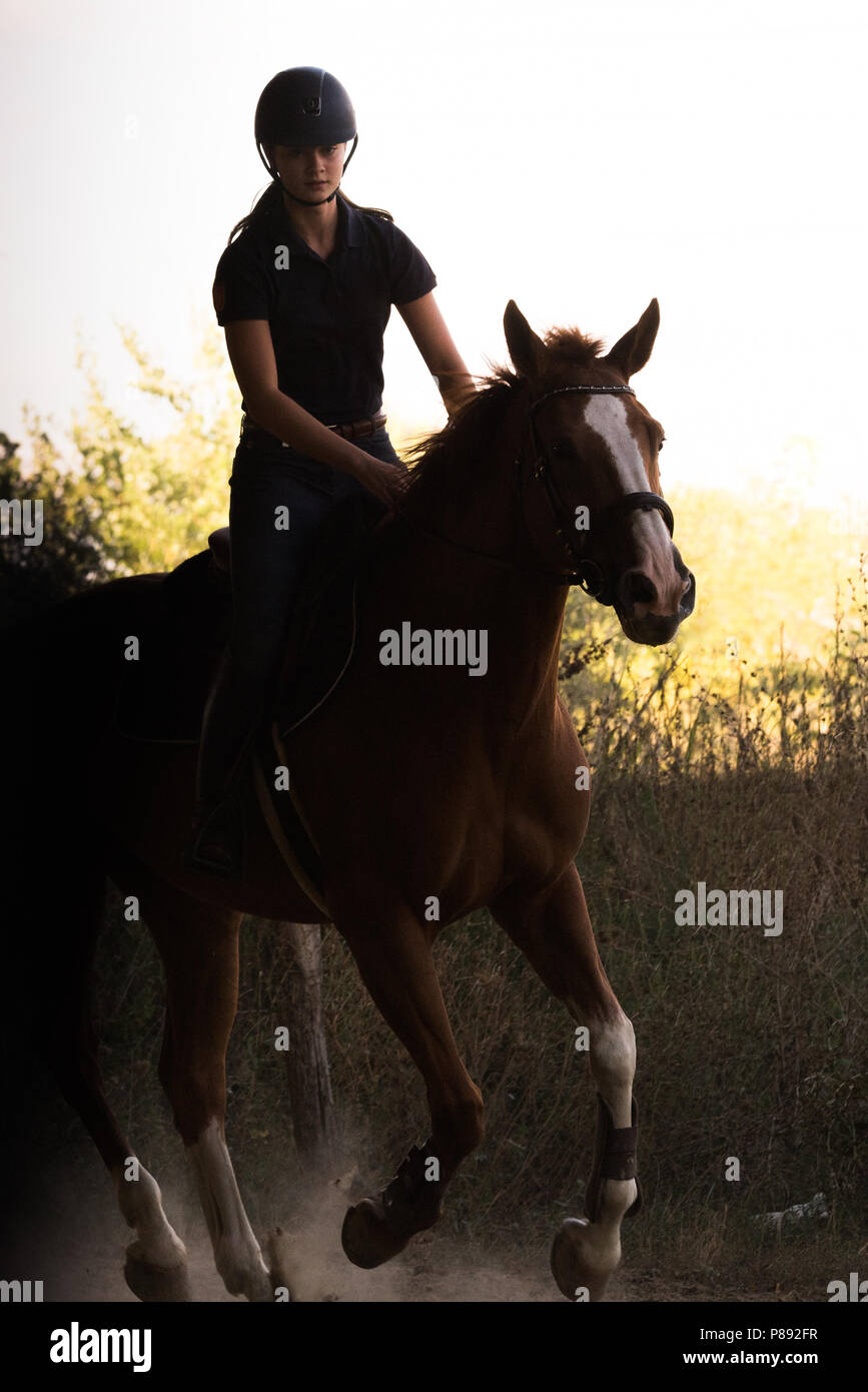 Young pretty girl - riding a horse with backlit leaves behind Stock ...