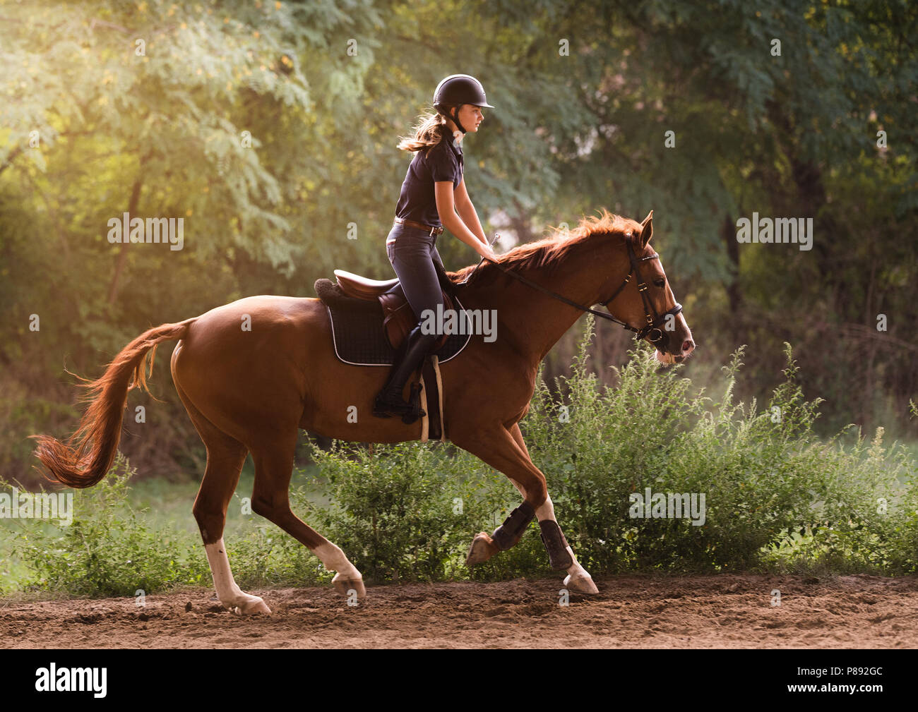 Young pretty girl - riding a horse with backlit leaves behind Stock ...
