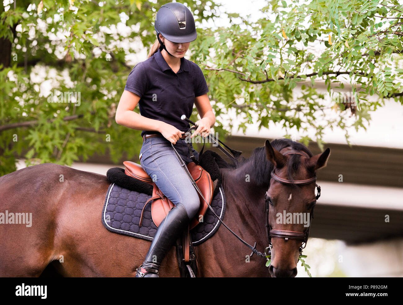 Young pretty girl - riding a horse with backlit leaves behind Stock ...