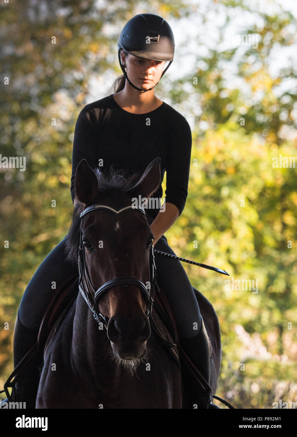 Young pretty girl - riding a horse with backlit leaves behind Stock ...