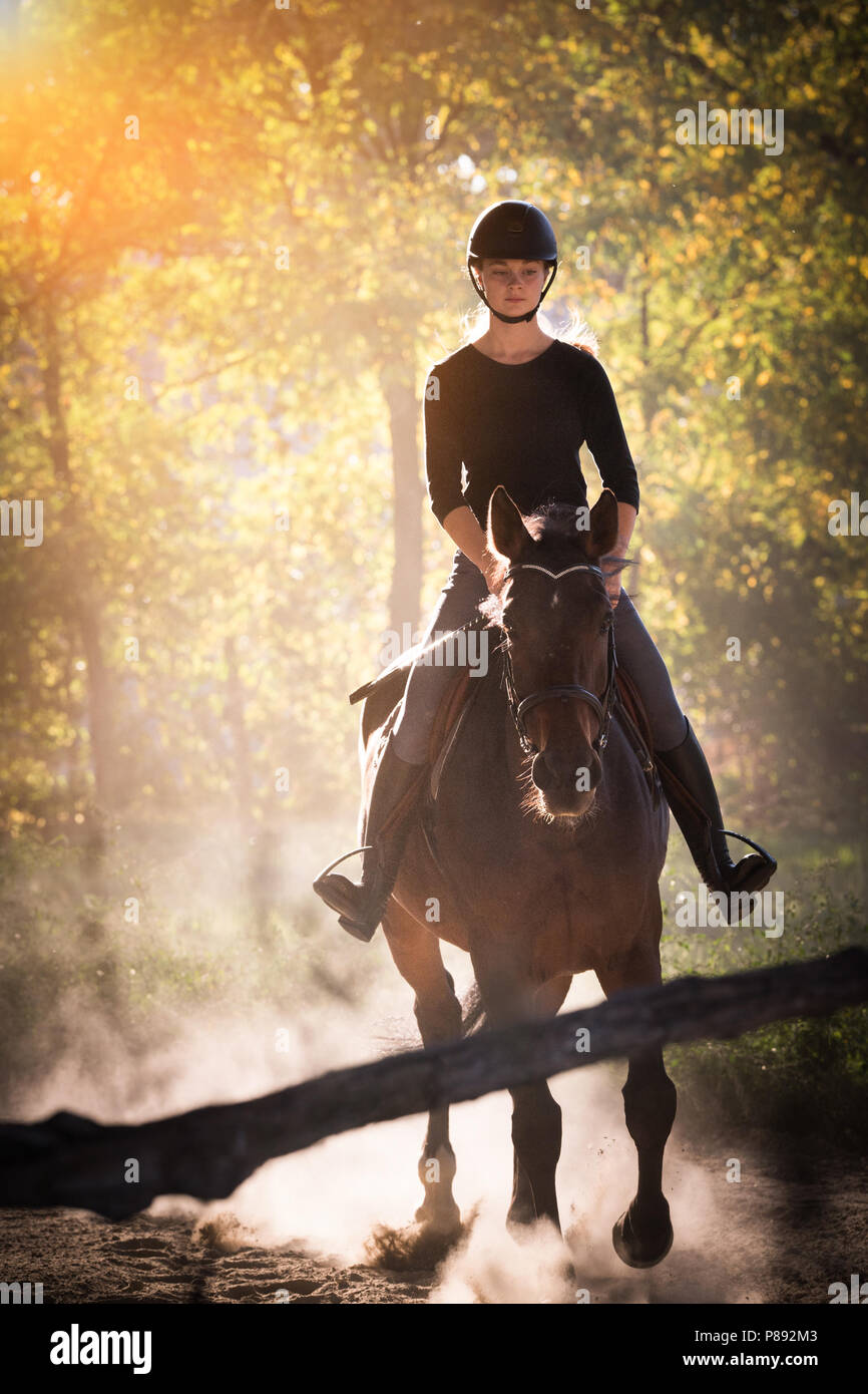 Young pretty girl - riding a horse with backlit leaves behind Stock ...