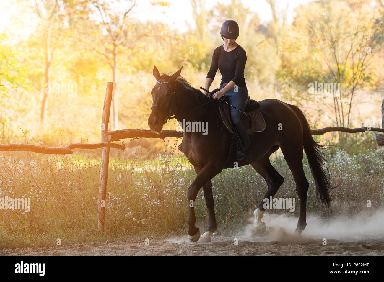 Young pretty girl - riding a horse with backlit leaves behind Stock ...