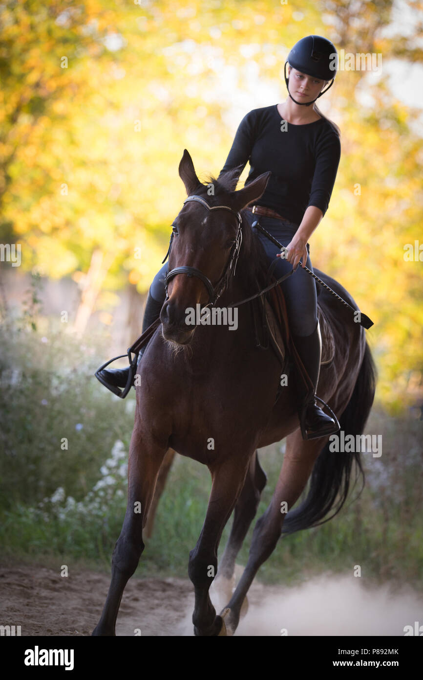 Young pretty girl - riding a horse with backlit leaves behind Stock ...