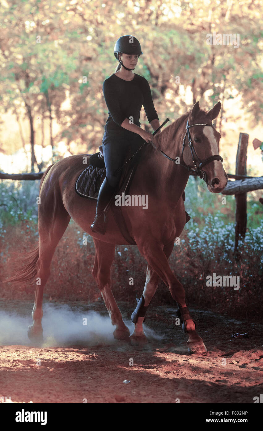 Young pretty girl - riding a horse with backlit leaves behind Stock ...