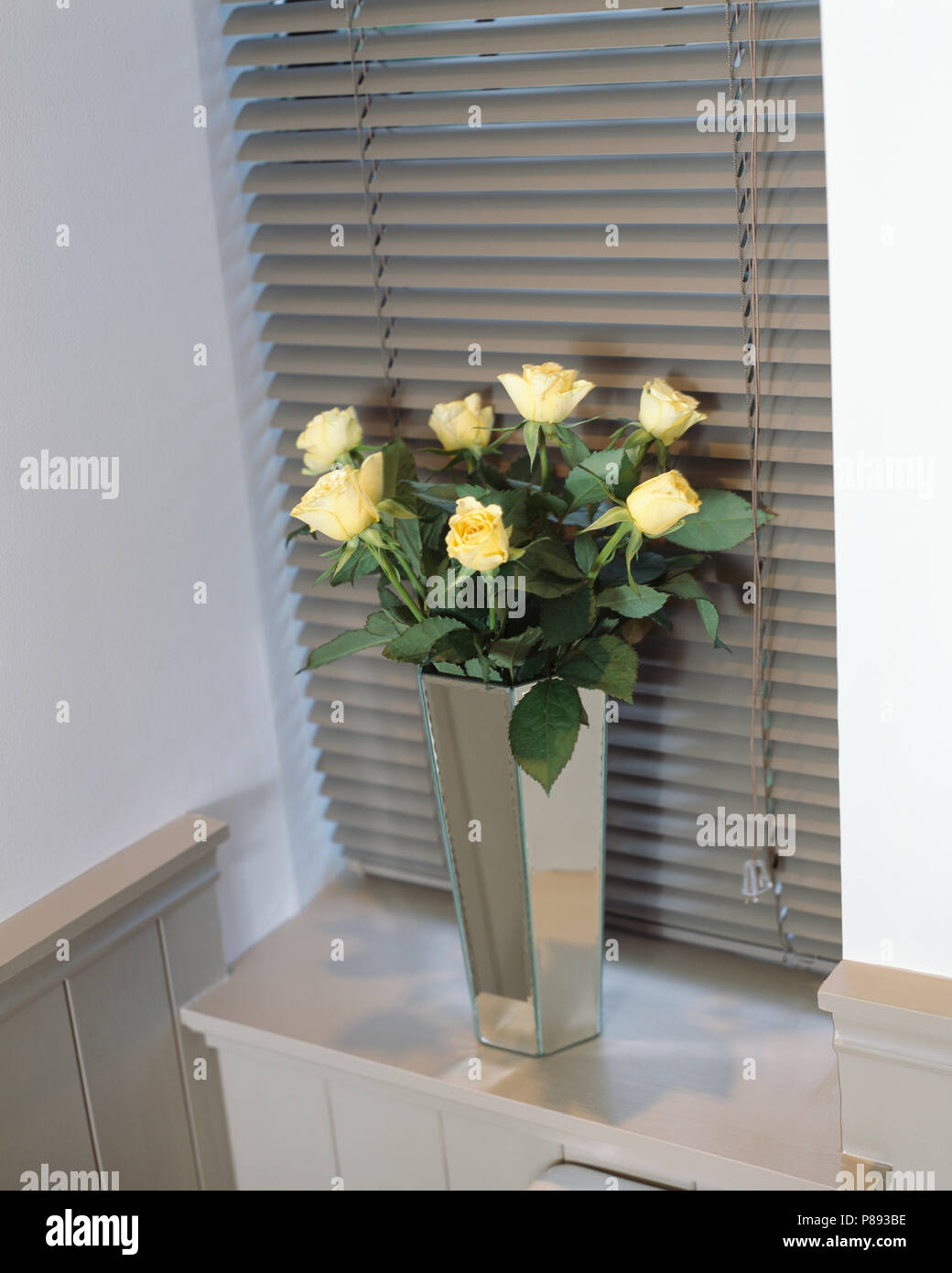 Roses in front of and in glass vase hi-res stock photography and images ...