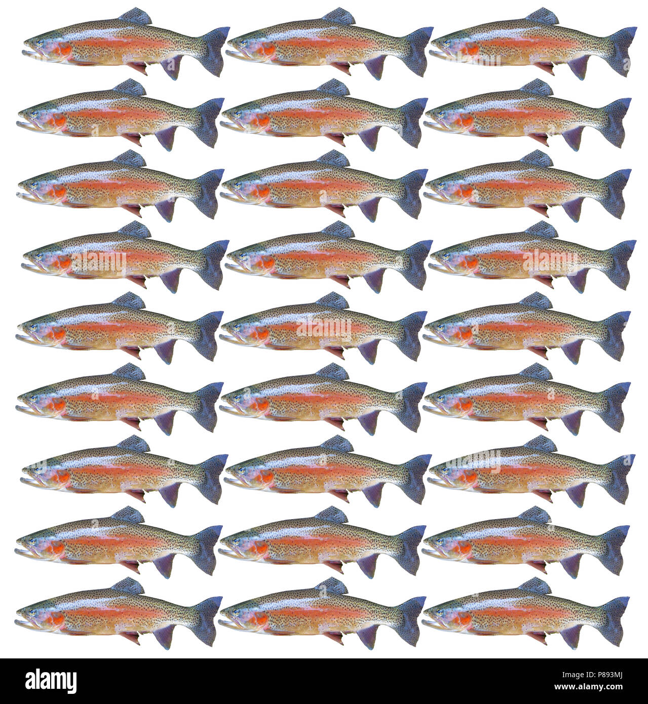 Repeating pattern fish Cut Out Stock Images & Pictures - Alamy