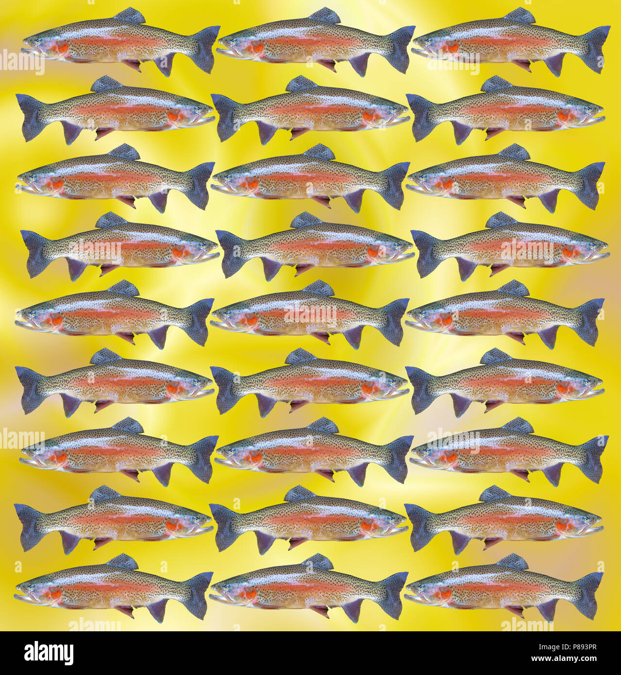 pattern of 27 trout fish in a repeating pattern on yellow background ...