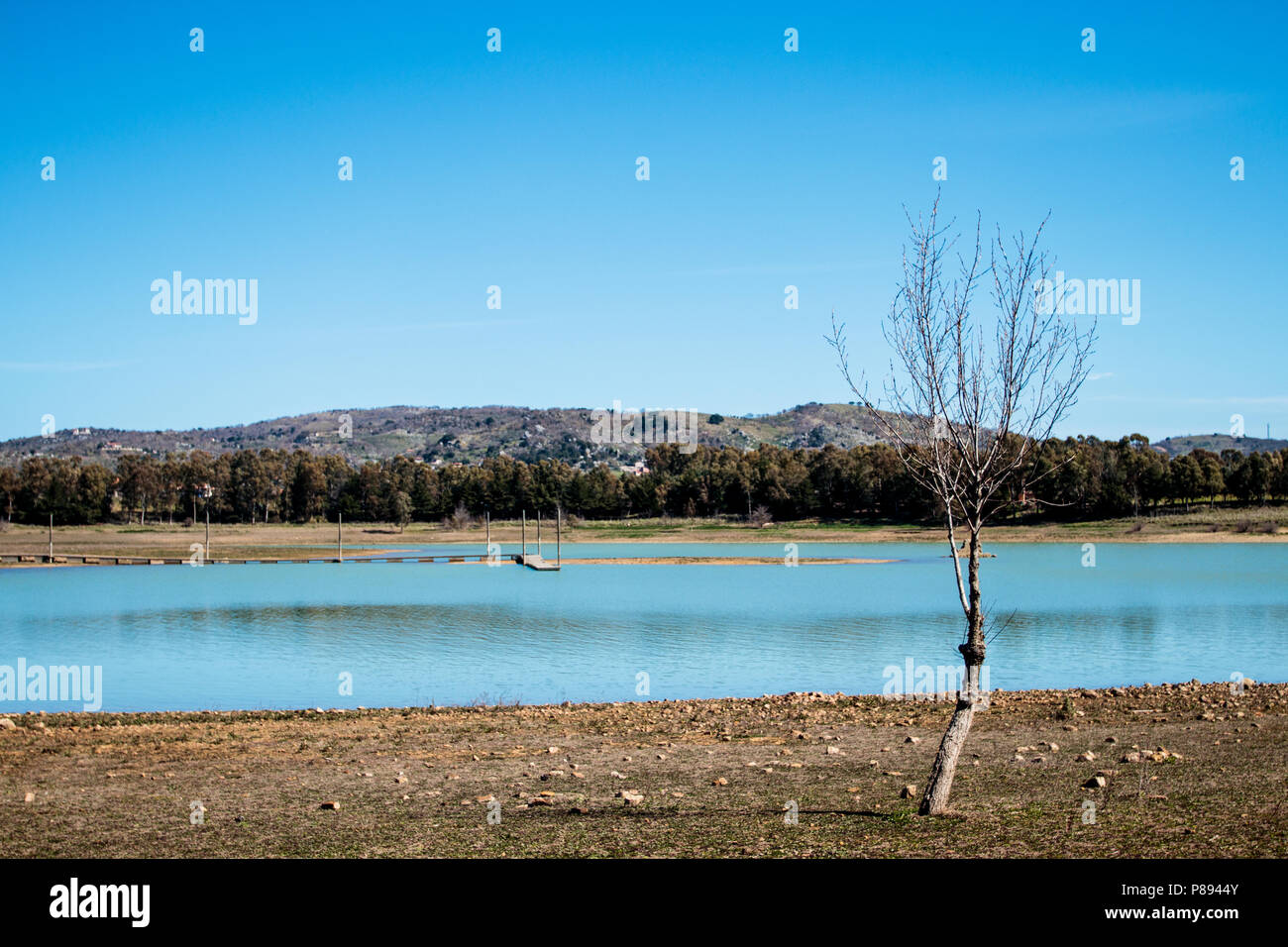 Lake behind trees hi-res stock photography and images - Alamy