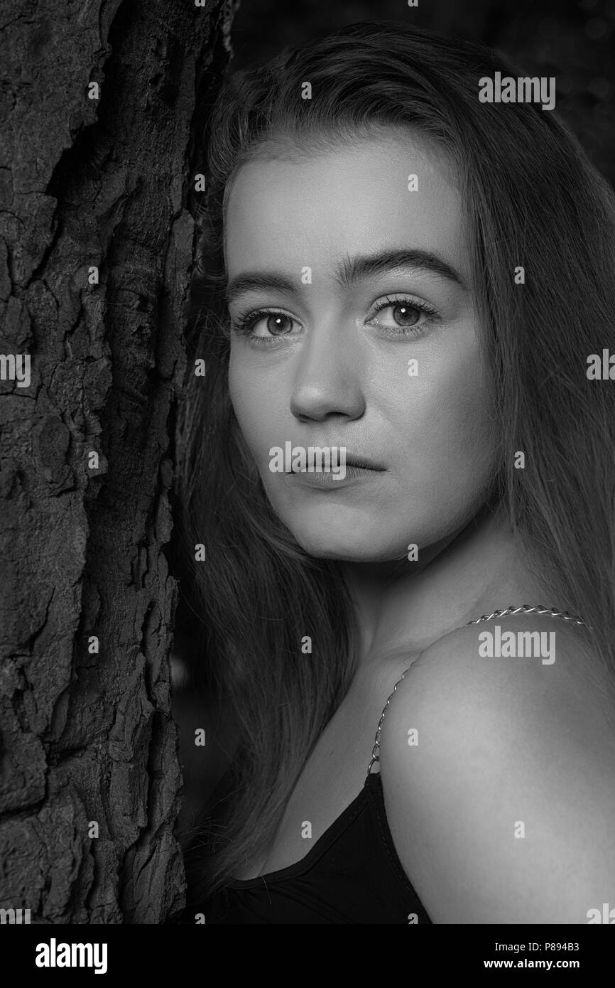 Black beauty book cover hi-res stock photography and images - Alamy