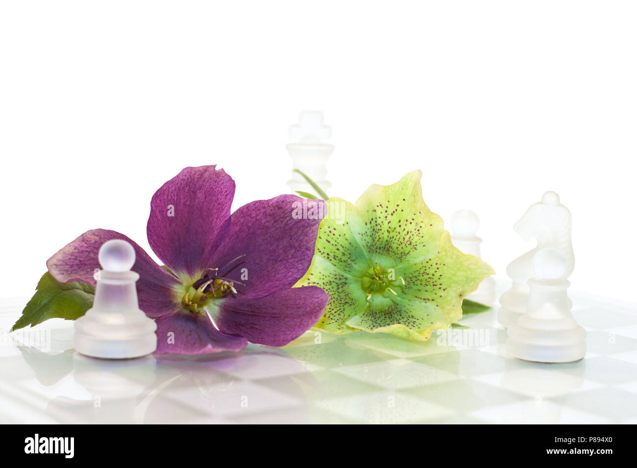 Chess Flowers High Resolution Stock Photography and Images - Alamy