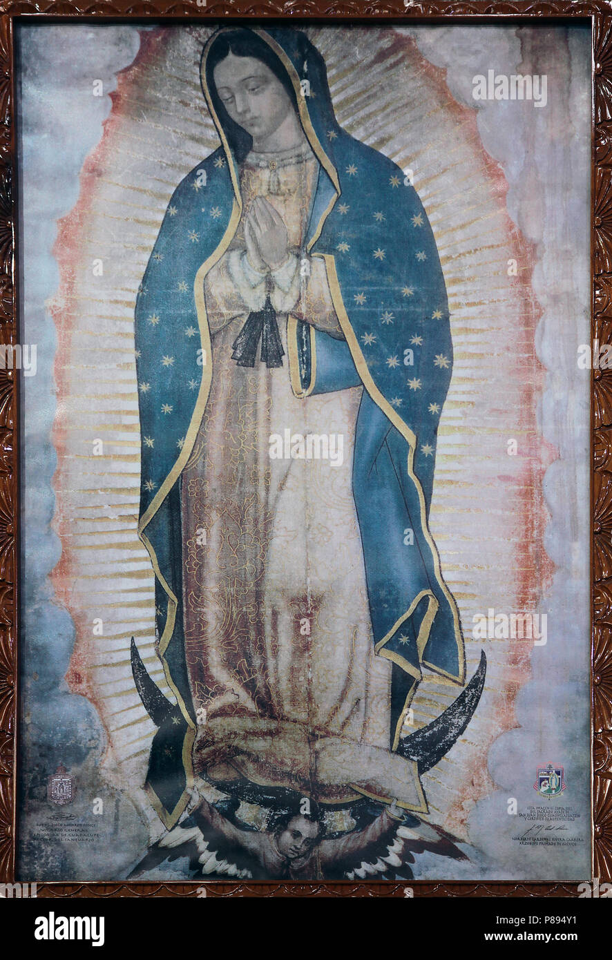 Tilma High Resolution Stock Photography and Images - Alamy