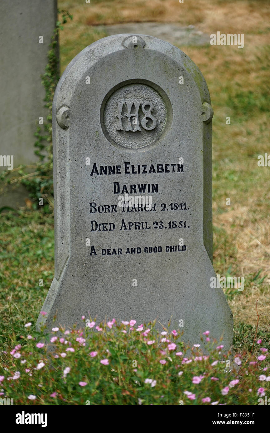 Charles Lindbergh Jr Grave