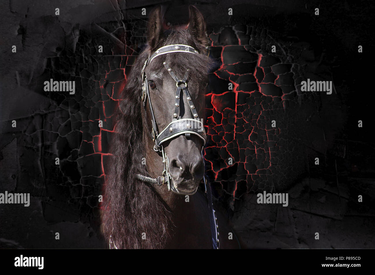 Horse texture hi-res stock photography and images - Alamy