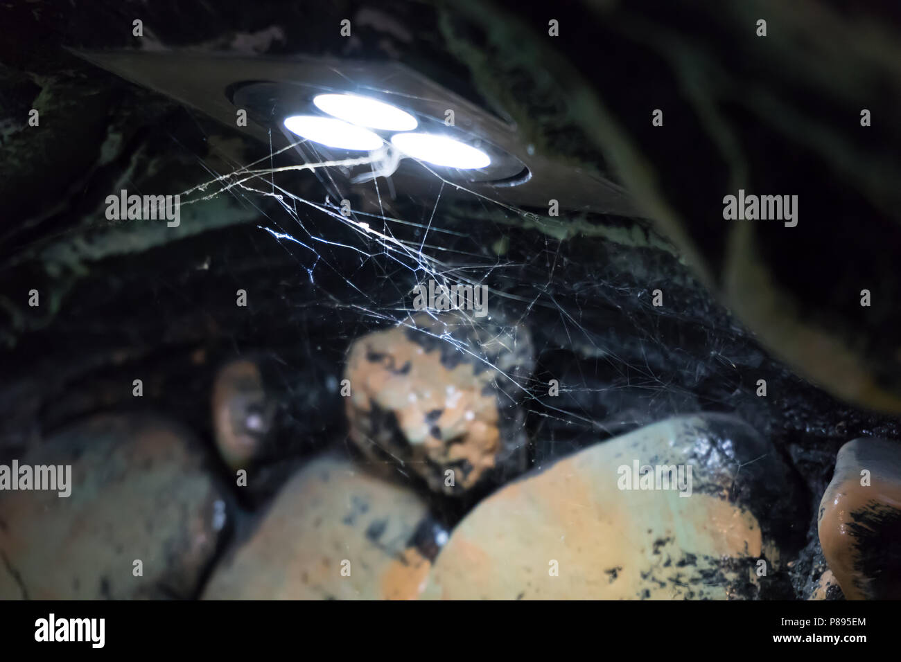 Spider web cage hi-res stock photography and images - Alamy