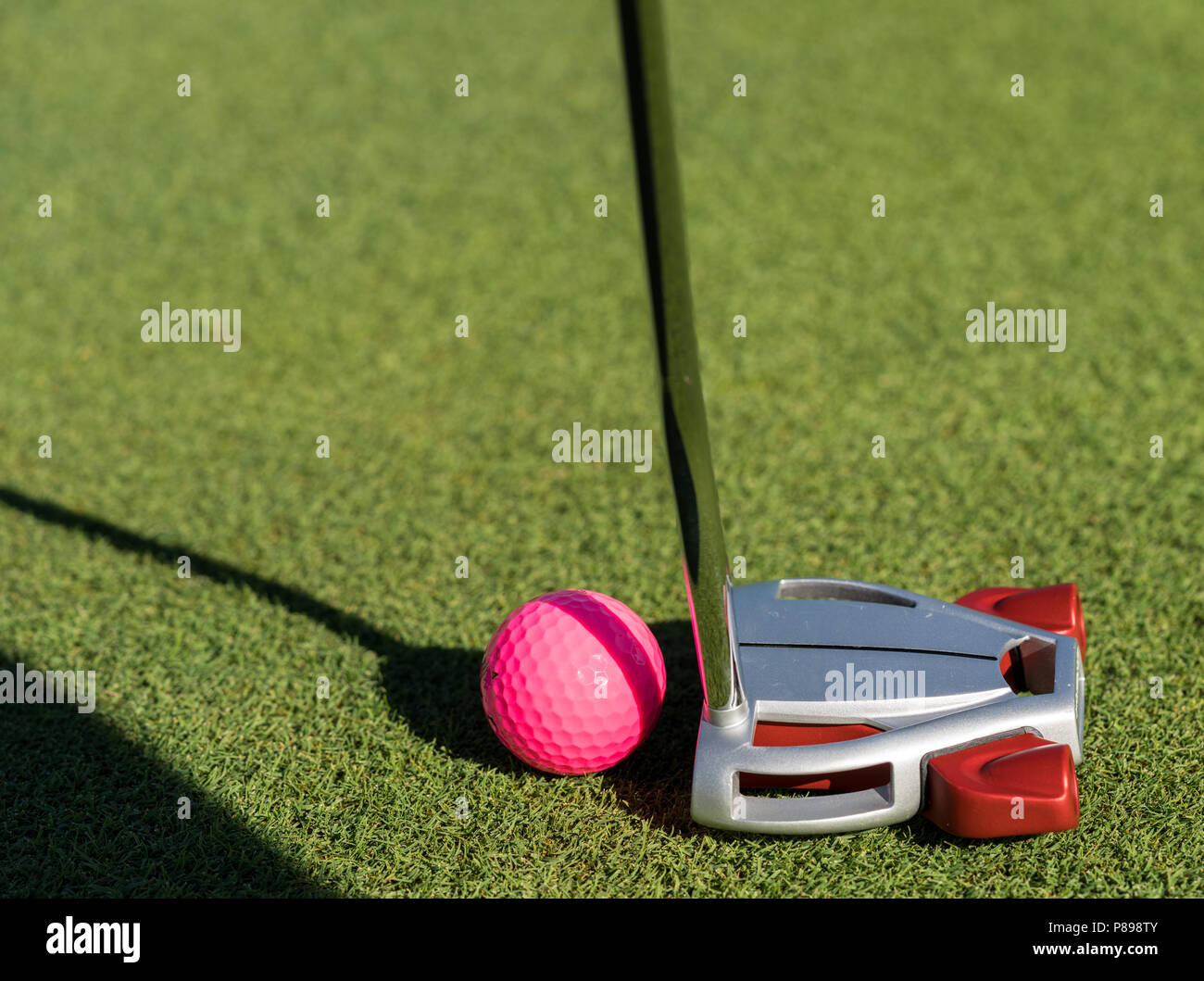 Pink golf ball and putter on the edge of putting green Stock Photo - Alamy