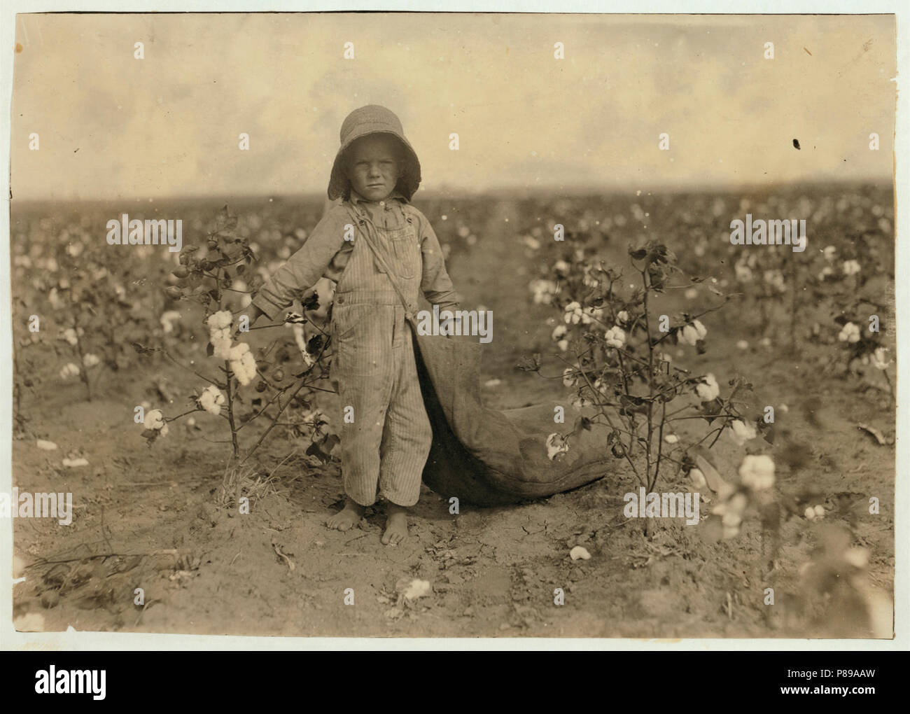 Harold walker hi-res stock photography and images - Alamy