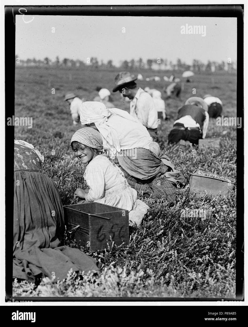 Old rosie hi-res stock photography and images - Alamy