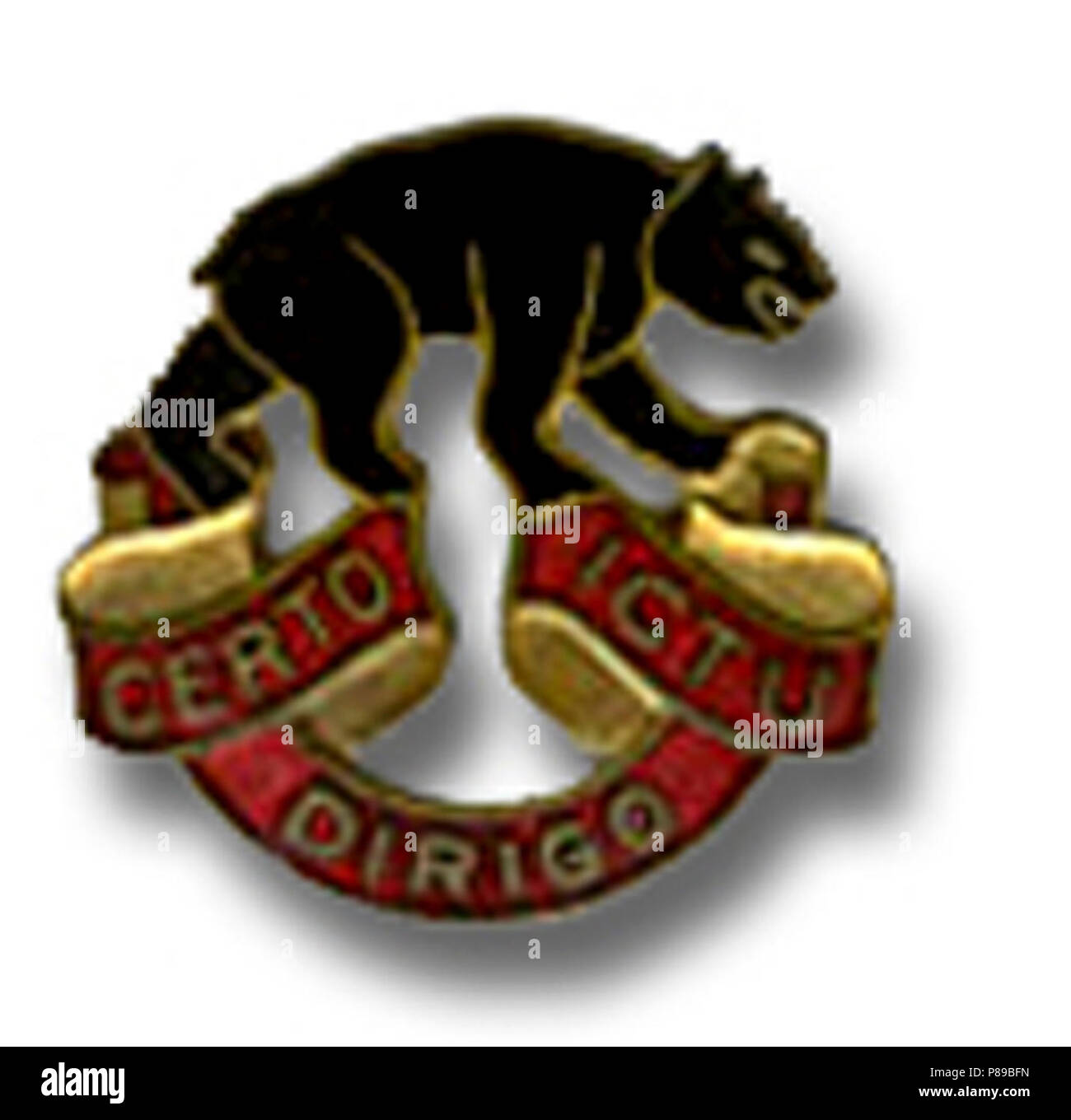 6th ADA crest Stock Photo - Alamy