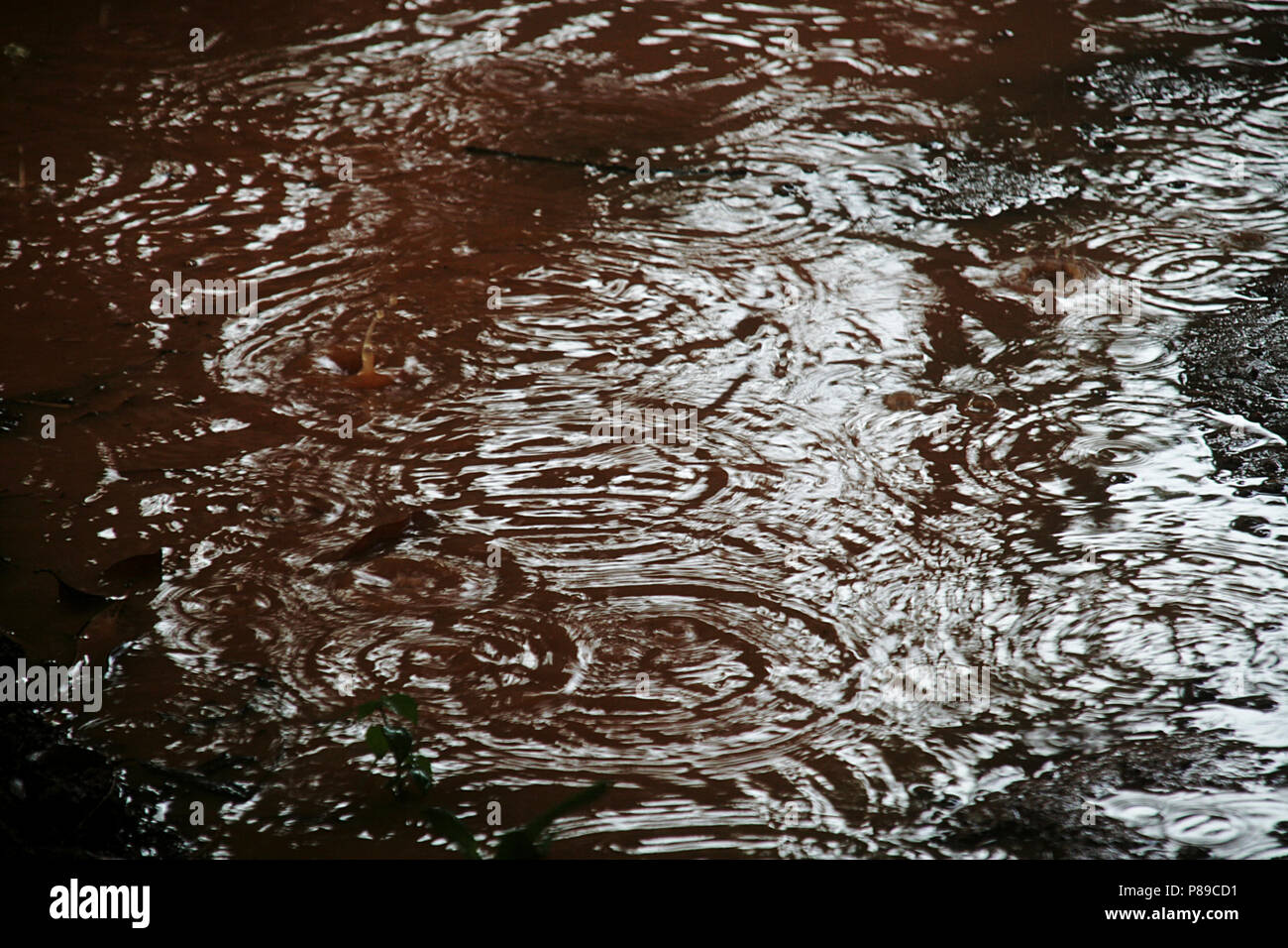 Abstract circular pattern created by rain drops on water surface on ...