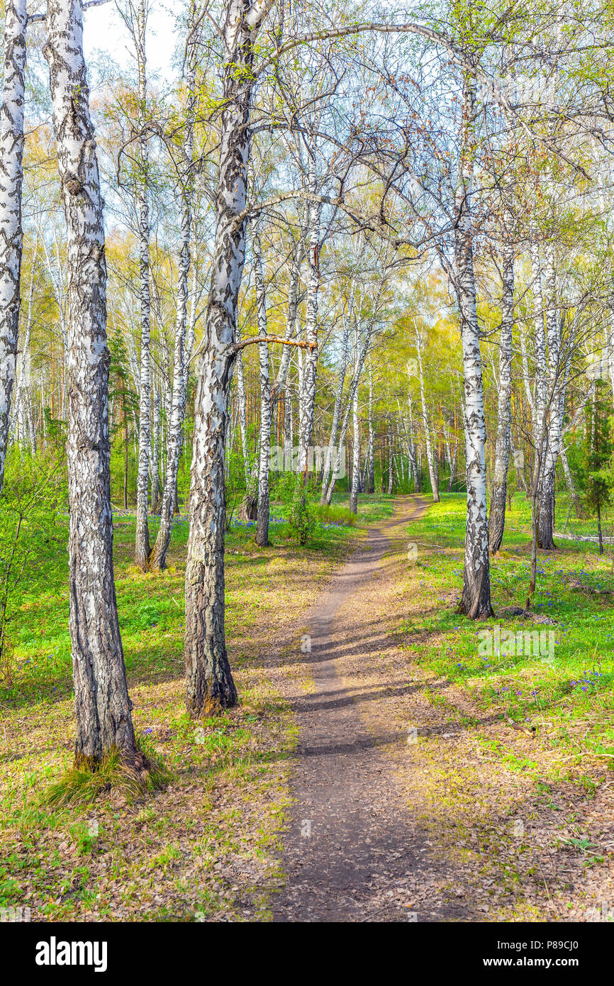 North cold spring grove hi-res stock photography and images - Alamy