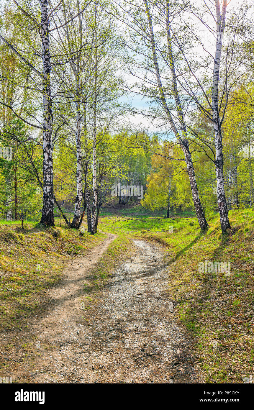 Wilderness spring hi-res stock photography and images - Alamy