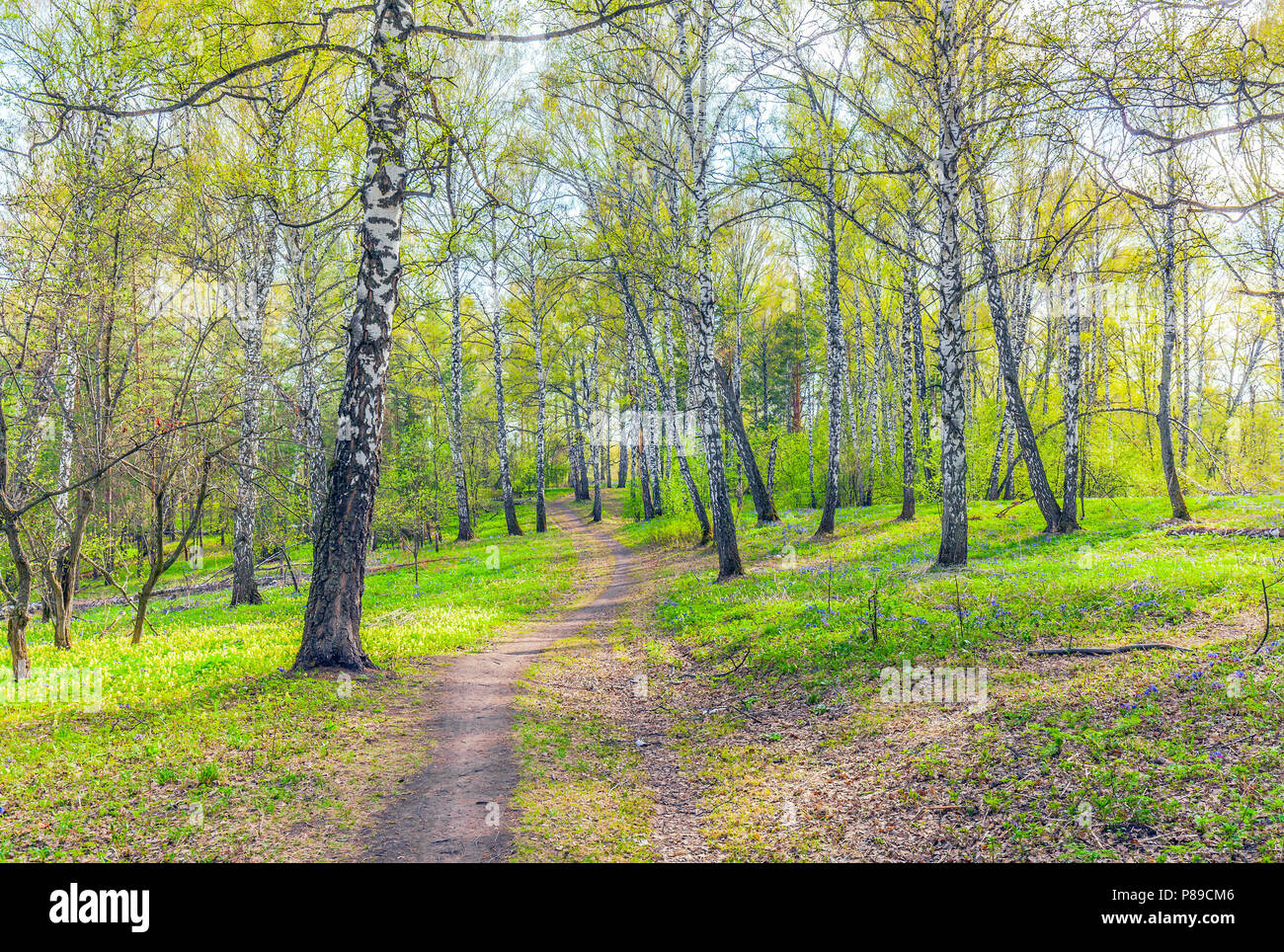 North cold spring grove hi-res stock photography and images - Alamy