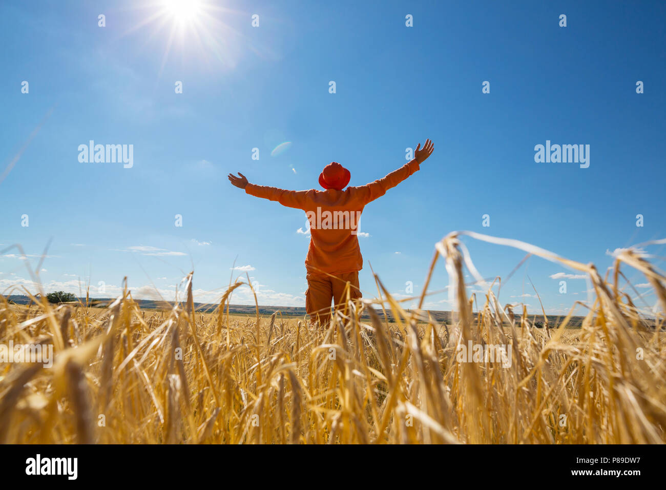 Admiration wheat hi-res stock photography and images - Alamy