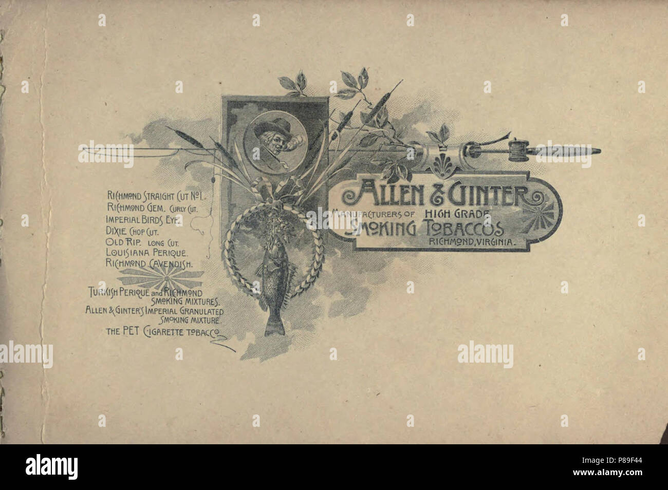 50 fish from american hi-res stock photography and images - Alamy