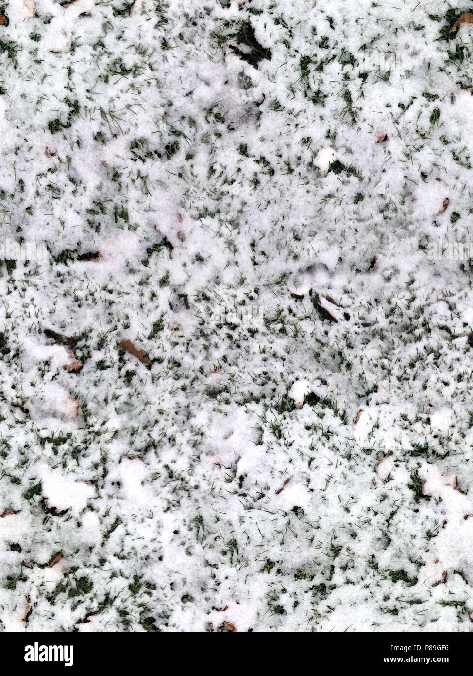 Snow And Grass Texture Seamless White Green Snowy Grass Texture Stock