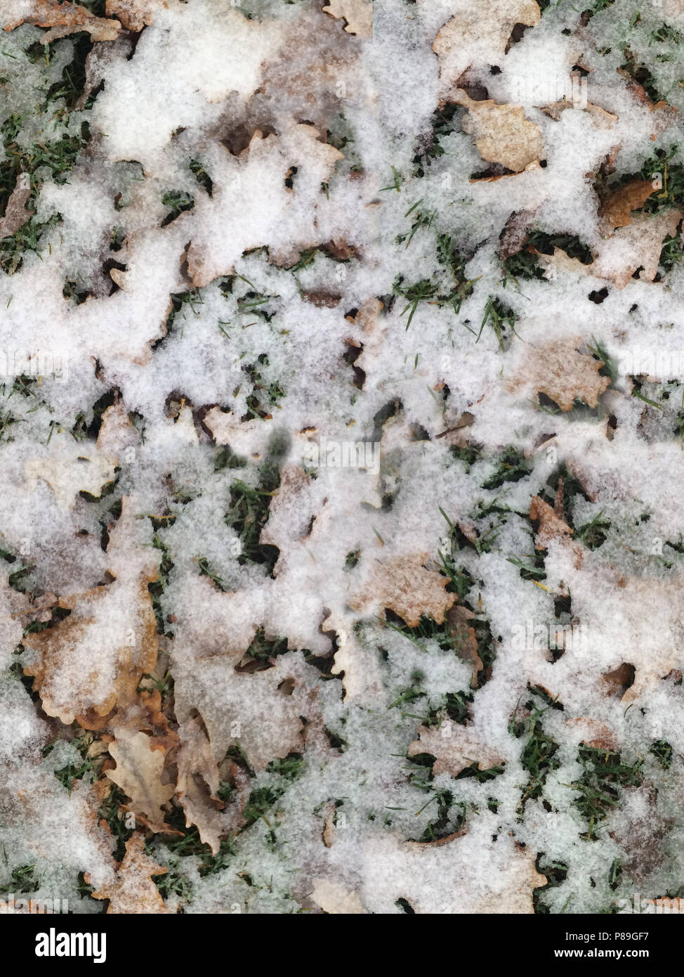 Seamless photo texture of slush with snow, leaves and green grass Stock ...