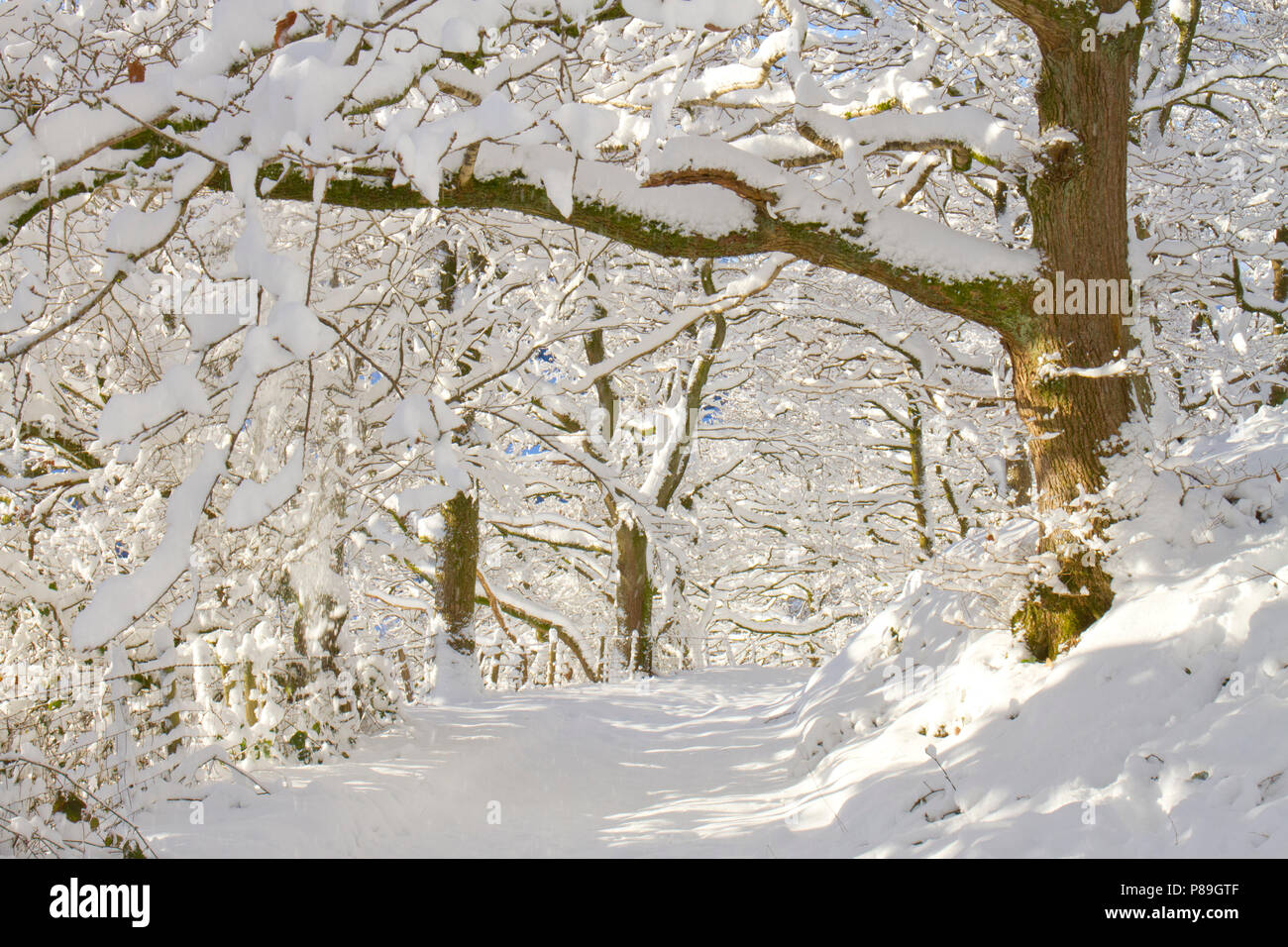 Snowy welsh landscapes hi-res stock photography and images - Alamy