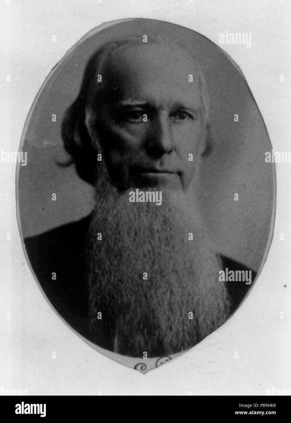 50th Congress Georgia delegation - Brady & Handy Photo Wash D.C Stock ...