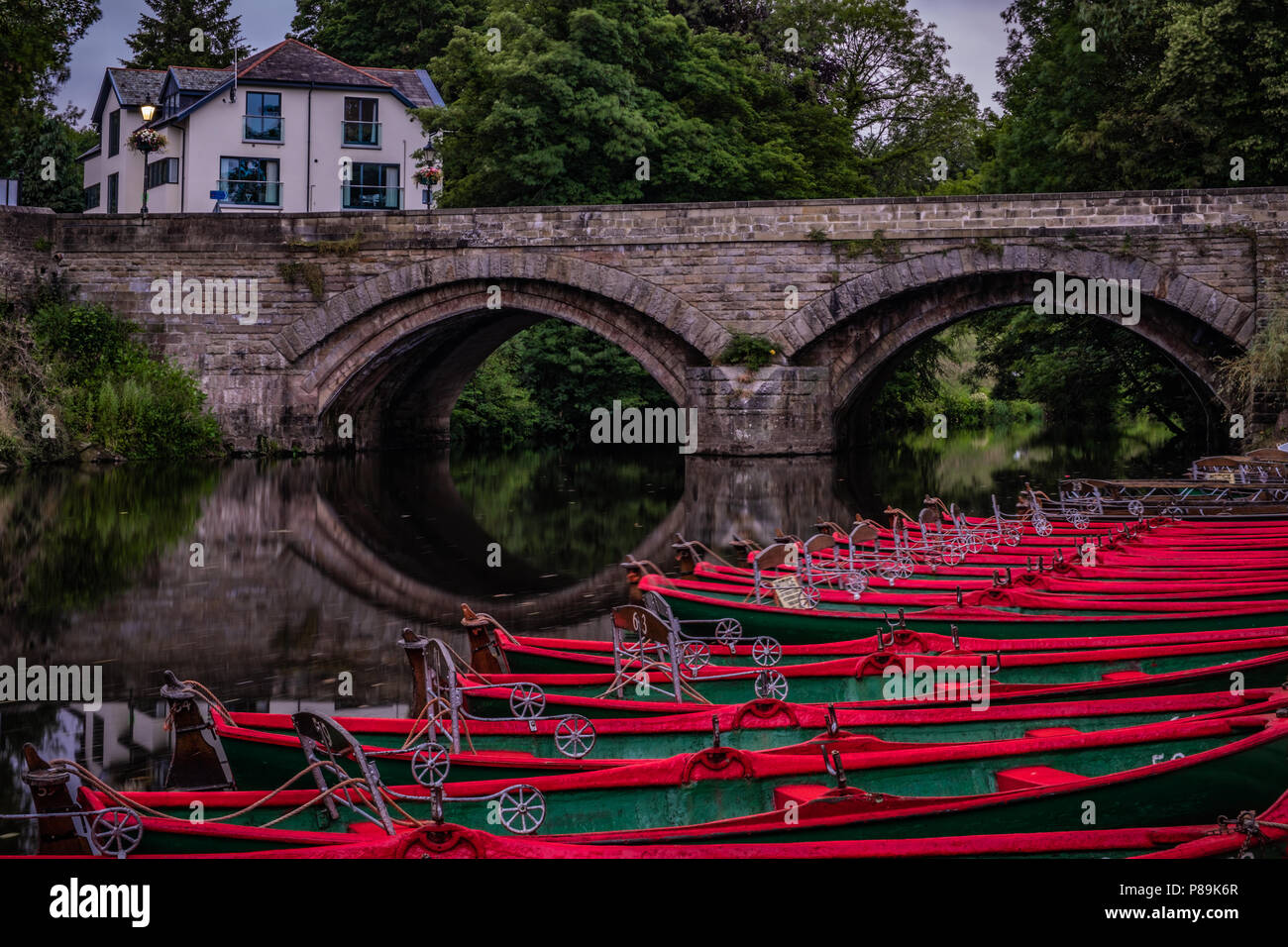 The River Nidd runs through Knaresborough - scene at sunset on the ...