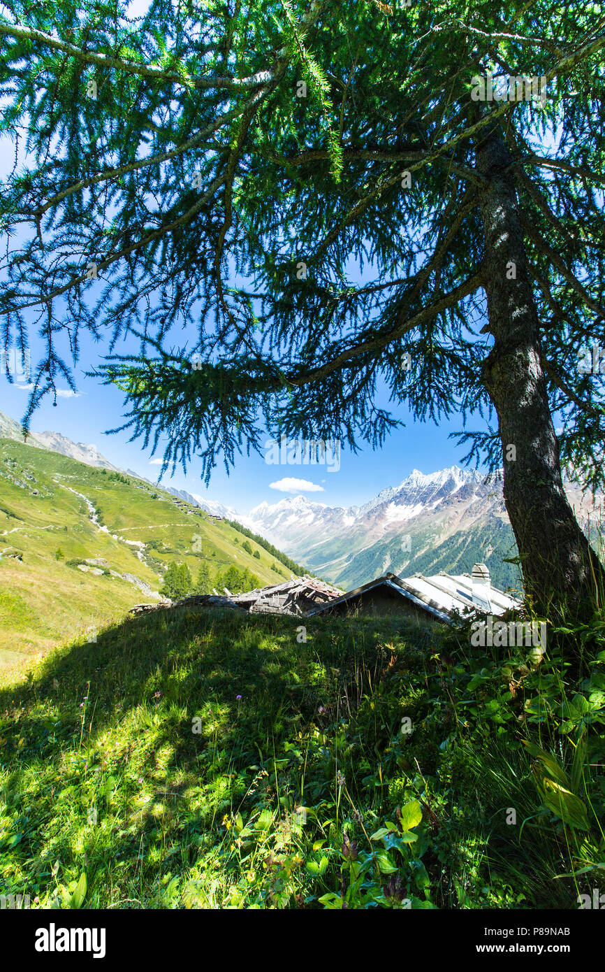 Lötschen hi-res stock photography and images - Alamy