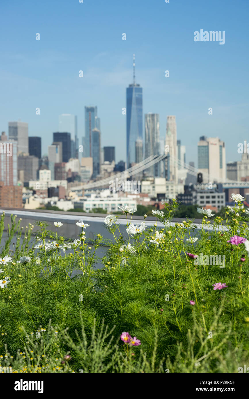 New york skyline rooftop garden hi-res stock photography and images - Alamy