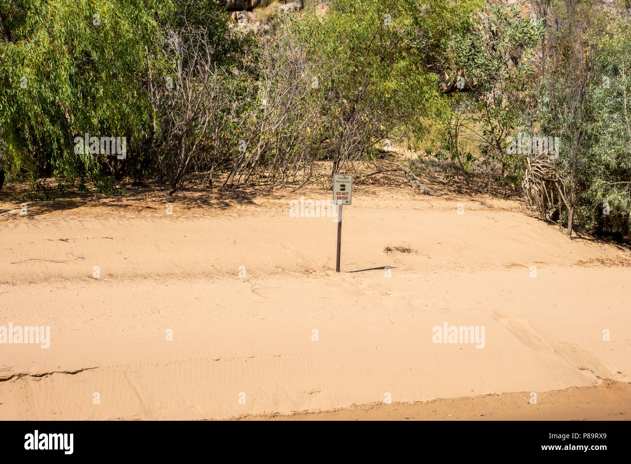Crocodile Nesting site in Nitmiluk Gorge, Northern Territory Stock ...