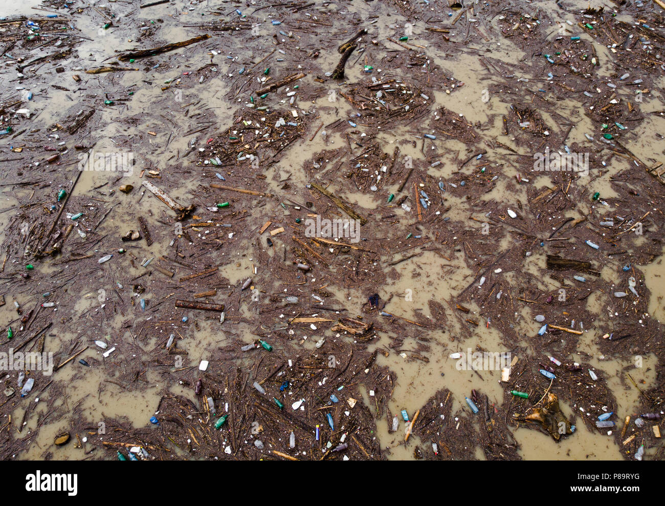 lake water pollution with plastic bags and dirt Stock Photo - Alamy
