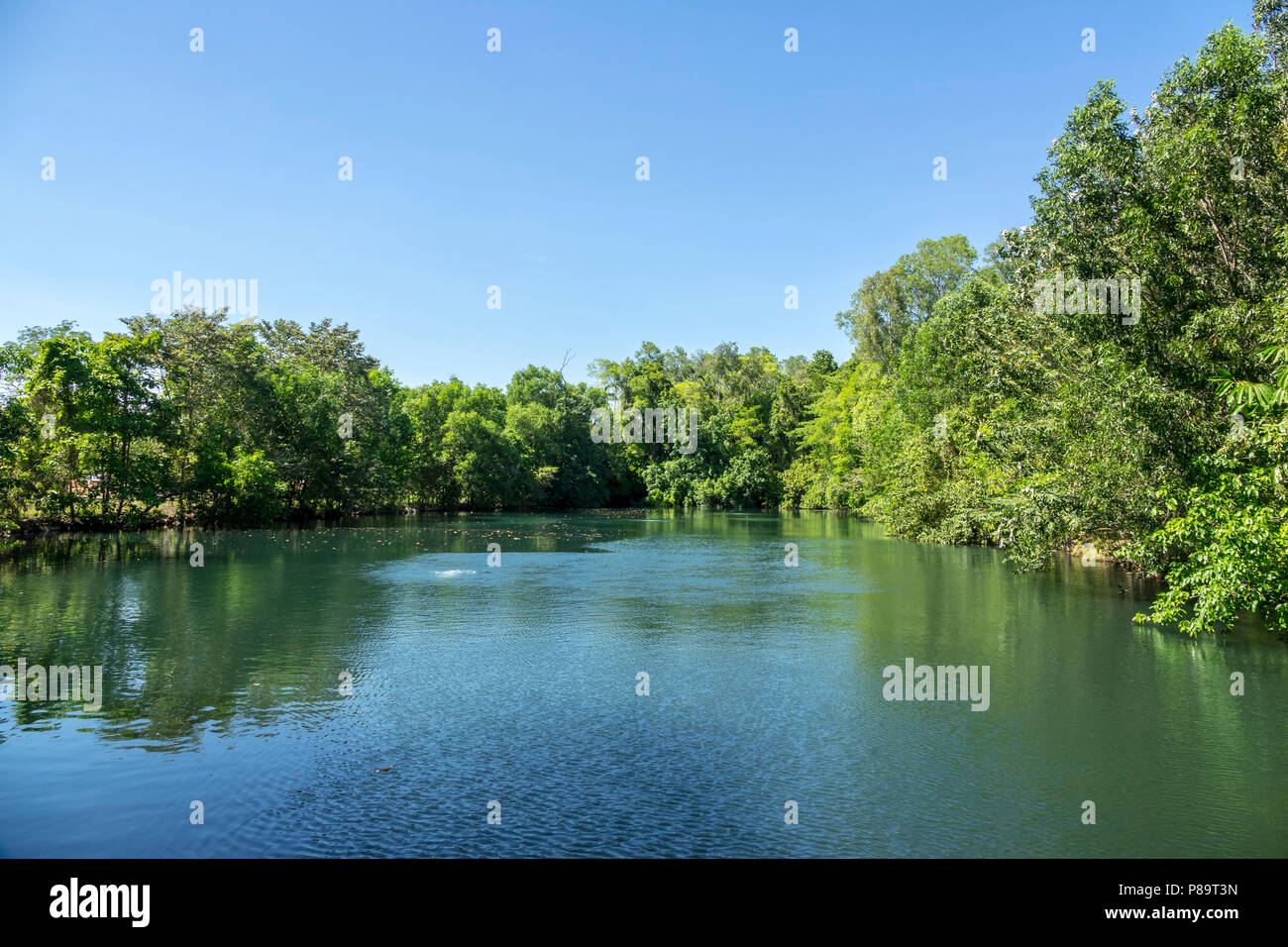 Water reservoir at Howard Springs Nature Reserve, Northern Territory ...