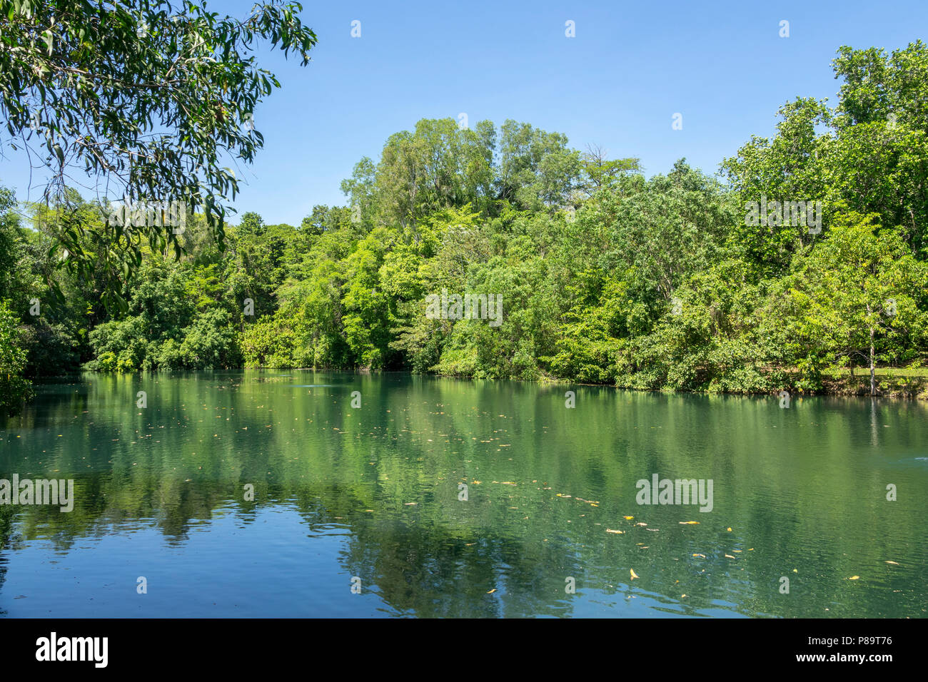 Water reservoir at Howard Springs Nature Reserve, Northern Territory ...