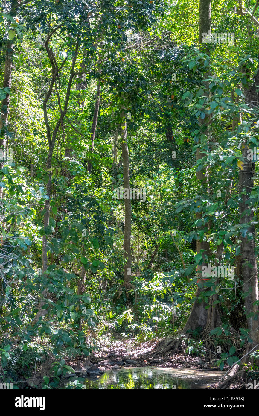 Howard springs nature reserve hi-res stock photography and images - Alamy