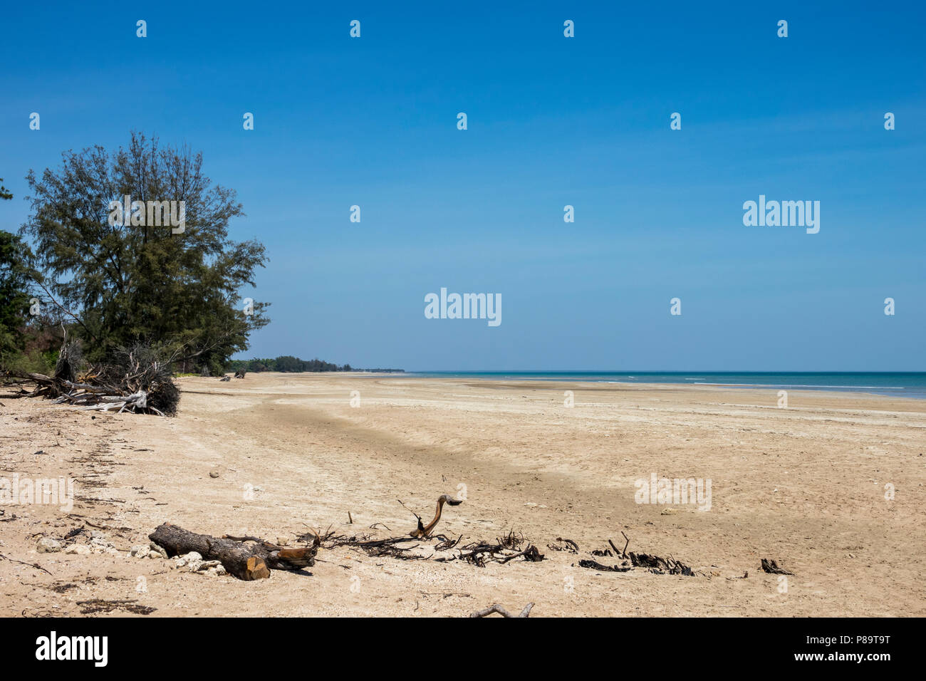 Casuarina Beach, Darwin, Northern Territory Stock Photo - Alamy
