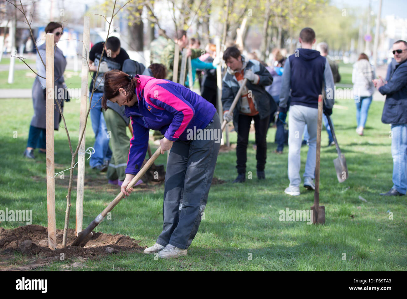 Tree planting charity hi-res stock photography and images - Alamy