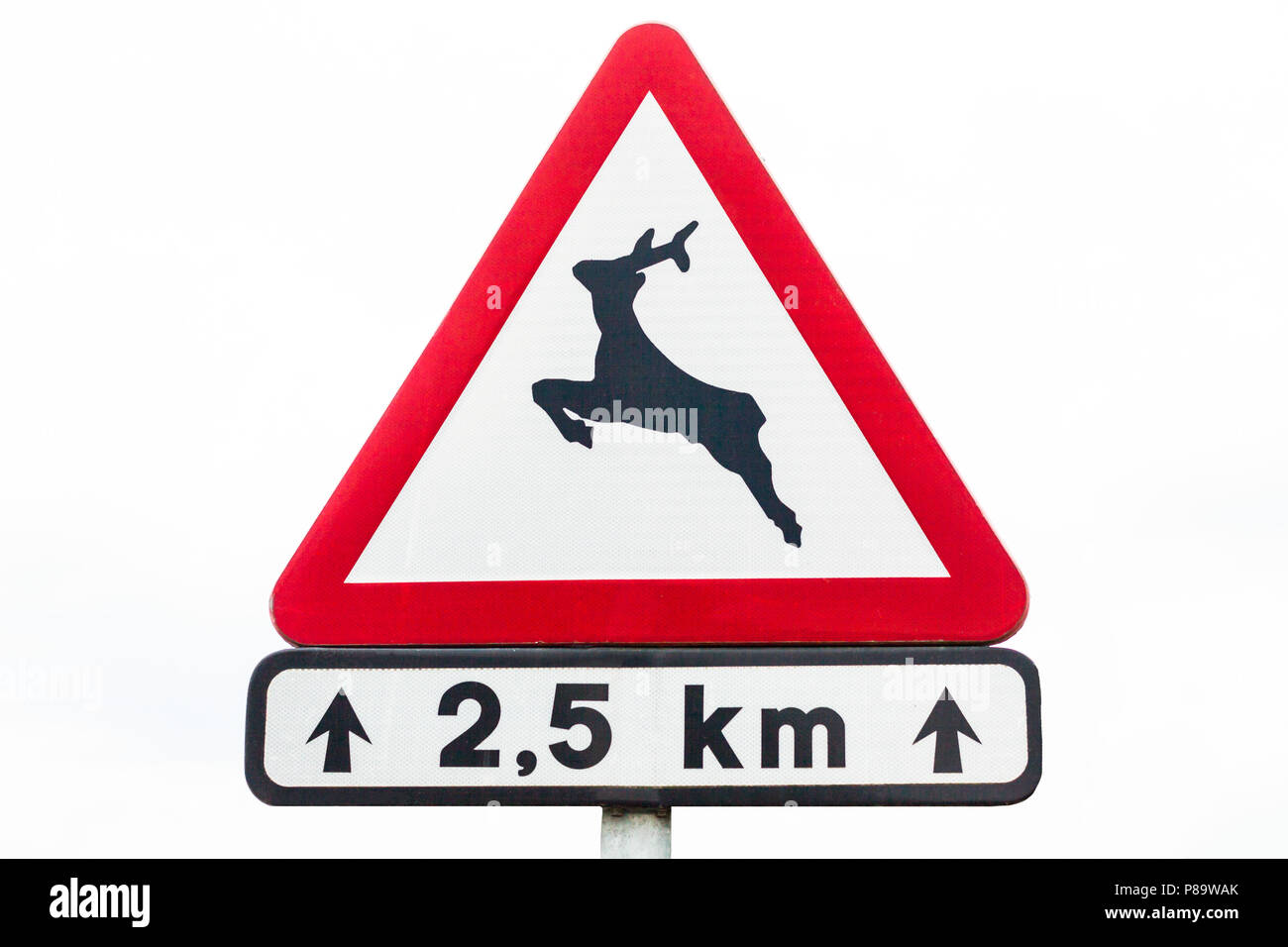 Deer crossing warning sign on a road Stock Photo - Alamy