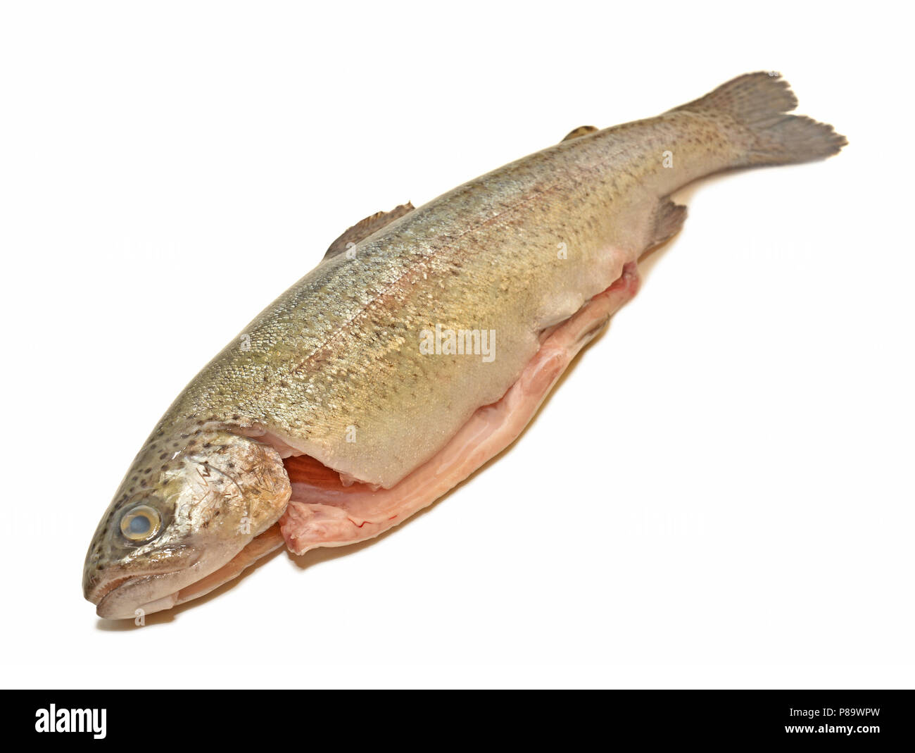 eviscerated trout fish isolated on white background Stock Photo - Alamy