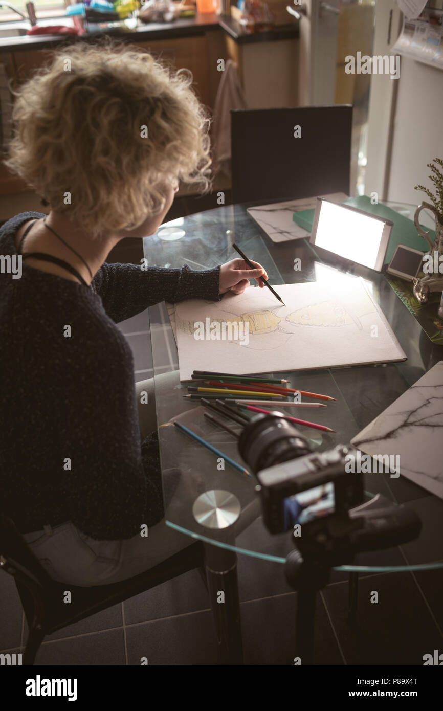 Female blogger drawing a sketch Stock Photo - Alamy